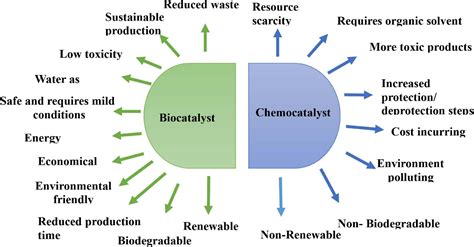 Frontiers Endophytic Fungi Mediated Biocatalysis And