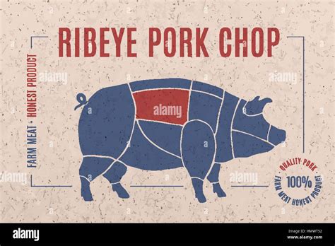 Label For Pork Steak Meat Cut Stock Vector Image And Art Alamy