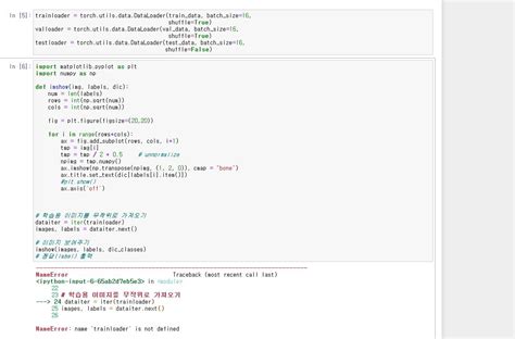 nameerror name trainloader is not defined pytorch forums