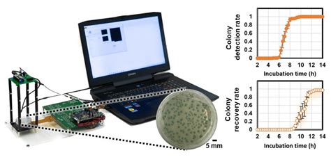 Ai Powered Innovative Bacterial Colony Detection System Using A Thin