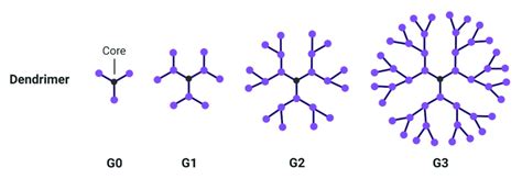 Structure Of Dendrimers At Different Generations Download Scientific
