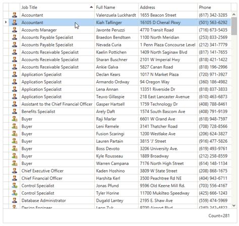 dataviewbase allowsorteddatadragdrop property wpf controls