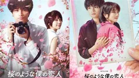 12部日本催淚愛情片！絕症be超揪心，《我的櫻花戀人》、《餘命10年》好評不斷！ 這尺度可以嗎？爆紅bl手遊《新世界狂歡》肉香四溢，老司機直接