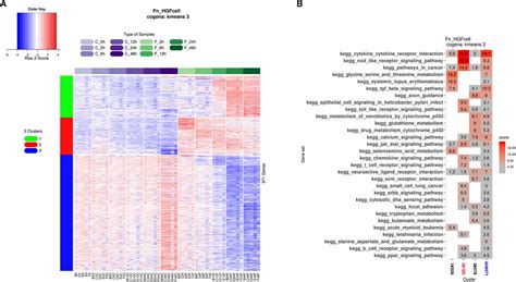 Frontiers Time Course Transcriptome Analysis For Drug Repositioning