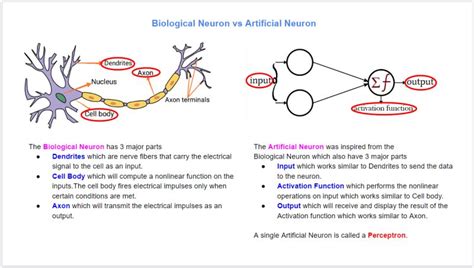 Manish Ch On Linkedin Biological Neuron Vs Artificial Neuron