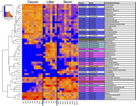 Heatmap Depicting Abundance Of The Top 50 Otus By Overall Abundance