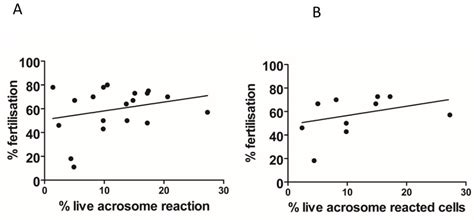 Ijms Free Full Text Elevated And Sustained Intracellular Calcium