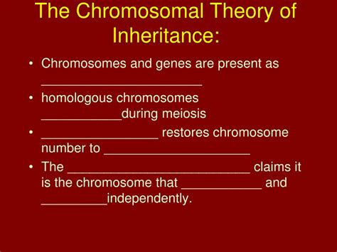 Ppt The Chromosomal Theory Of Inheritance Powerpoint Presentation