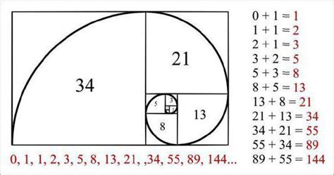 fibonacci zahlen und das goldene verhältnis das verhältnis