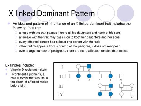 ppt sex linkage and pedigrees powerpoint presentation id 6783856