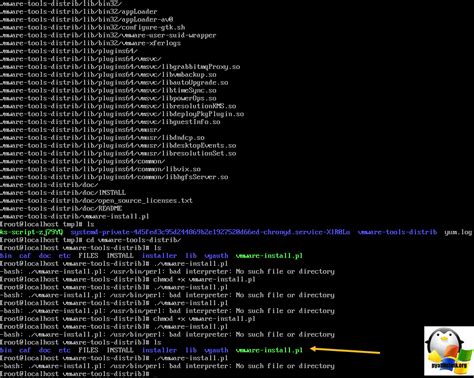 Ошибка установки vmware tools usr bin perl bad interpreter Настройка