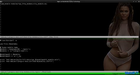 nginx modsecurity v3 libmodsecurity3 connector metztli it