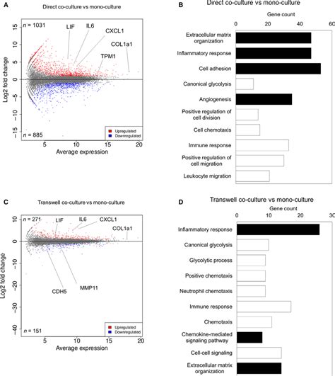Global Gene Expression Pattern Showed That Ad Mscs Were Differentiated