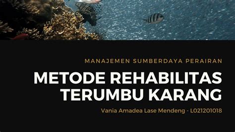 Rehabilitasi Dan Pengembangan Sumber Daya Perairan 2023 Metode