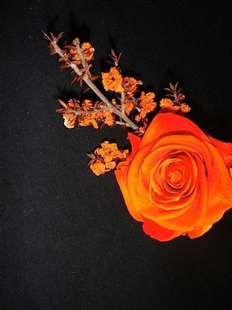 Pin By Deborah Pace On Nature Flowers Orange Palette Shades Of