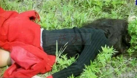 10年姦殺8名美女乘客：08年山西定襄計程車姦殺狂魔趙在鑫 每日頭條