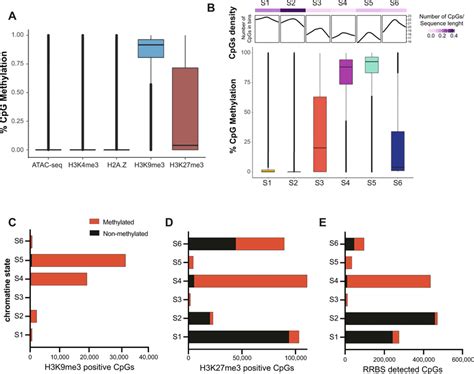 Dna Methylation Is Enriched In Repressive Chromatin States And Excluded