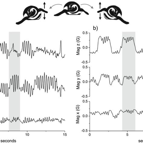 A Time Series Plot Of 6 Hz Tri Axial Acceleration A Data And Its