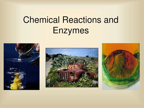 Ppt Chemical Reactions And Enzymes Powerpoint Presentation Free
