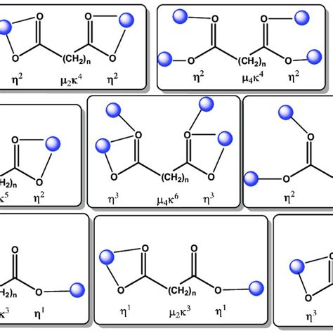 Typical Coordination Modes Observed In Ditopic Aliphatic Ligands