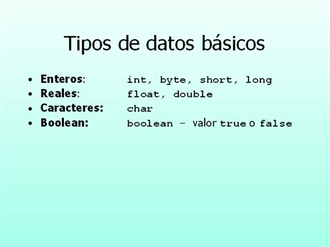 datos y variables fundamentos de programación