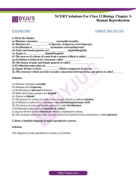 Ncert Solutions For Class 12 Biology Chapter 3 Human Reproduction