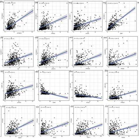 univariate and multivariate cox analyses a the forest plots for