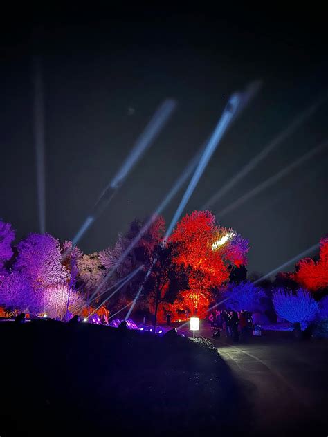 Lights Landscape At The Los Angeles Arboretum Myd Architecture