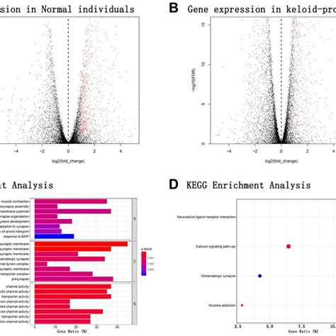 Volcano Plots Of Mrna Expression In The Two Groups Go And Kegg