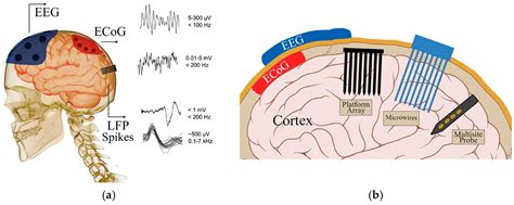 applied sciences free full text flexible and organic neural