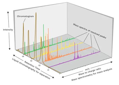 Liquid Chromatography Mass Spectrometry Lc Ms Meaning Working