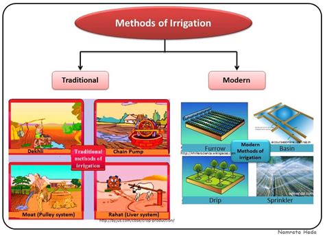 B For Biology Crop Production And Management Part Ii