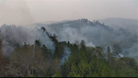 Más De 50 Manzanas De Bosque Han Sido Arrasadas Por El Fuego En Predios