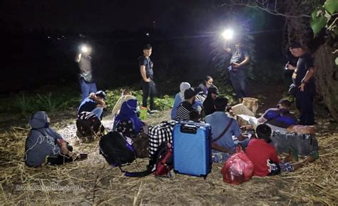 13 Pati Cuba Masuk Tawau Ditahan Di Kebun Ubi Sabah Post