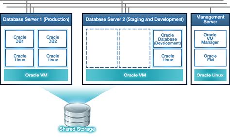 oracle database design and implementation services database services