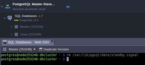 postgresql database replication jelastic dev docs