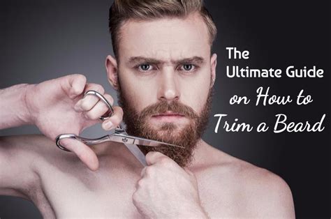 How To Trim A Beard
