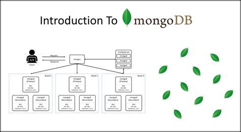 introduction to mongodb and concepts digital varys