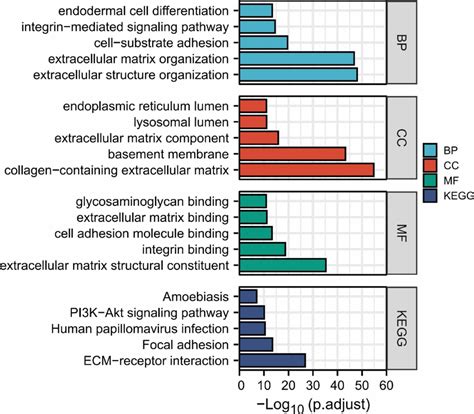 Top 5 Results Of Go Kegg Analysis Of Degs Download Scientific Diagram