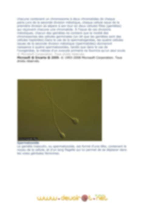 Solution Cours Svt La Fonction Reproductrice Chez L Homme Et La Femme
