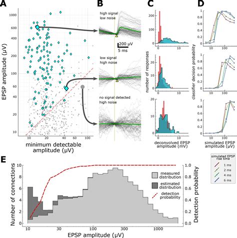 Figures And Data In Sparse Recurrent Excitatory Connectivity In The