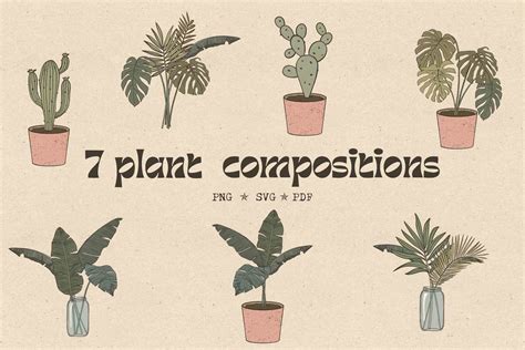 Retro Boho Tropical Houseplants Svg Png Graphic By Marie Dricot