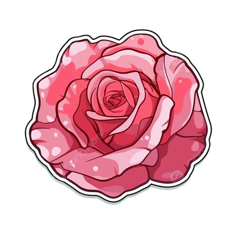 Gambar Clipart Stiker Mawar Merah Muda Vektor Desain Stiker Dengan