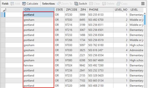 how to convert upper case words to lower case in a string field in