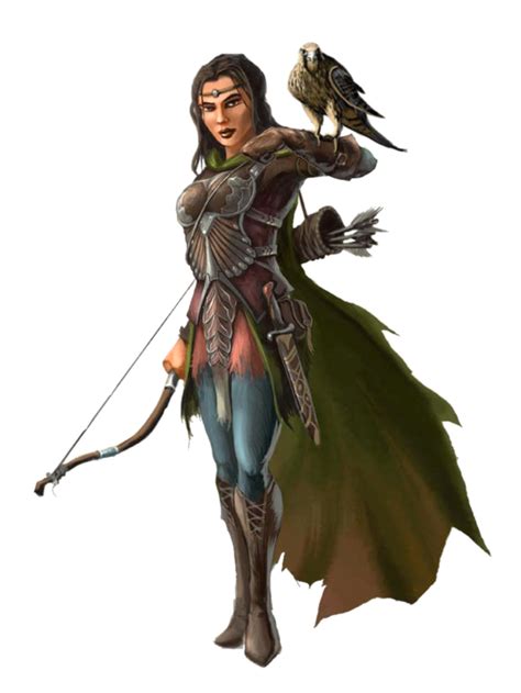 Female Human Ranger Or Hunter Archer With Hawk Pathfinder Pfrpg Dnd D