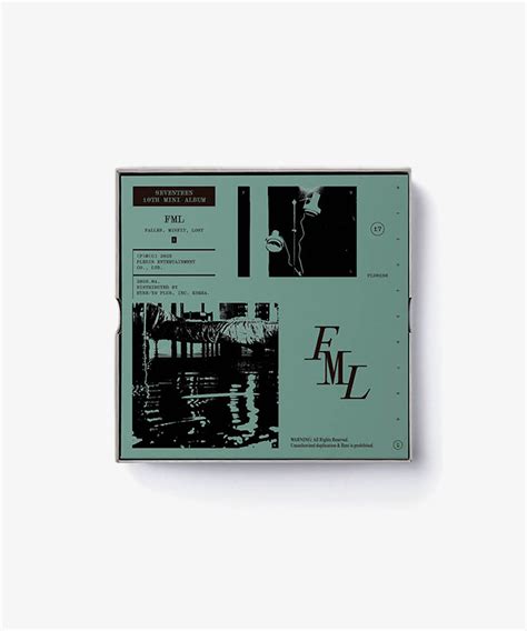 Seventeen Seventeen 10th Mini Album Fml Fallen Misfit Lost