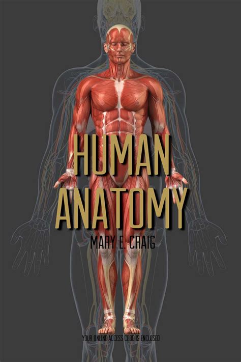 Product Details Human Anatomy A Core Concepts Approach Lecture