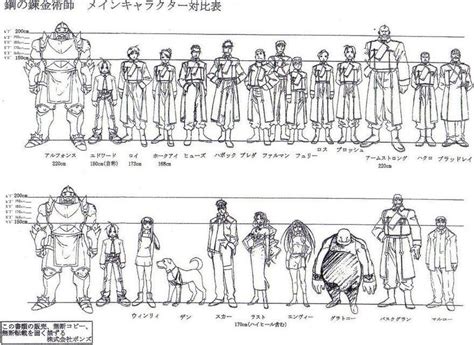 Character Height Chart Interesting Comparisons R Fullmetalalchemist