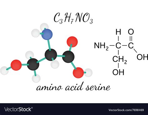 Serine Structure
