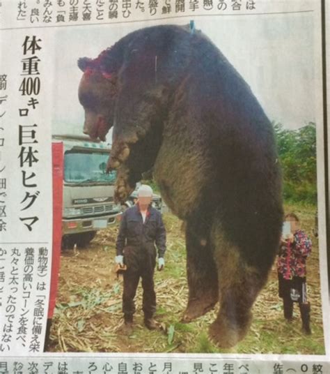 北海道最大級のヒグマ体重400キロ。 釣りでこんなのに出くわしたら…。 エビデンスに基づく介護 トータルケア 全国高齢者ケア研究会 泉田照雄